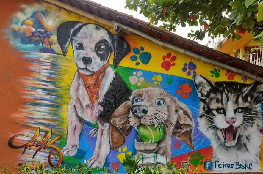 Un mural para hacer conciencia sobre adopción de perros de la calle - ANZ